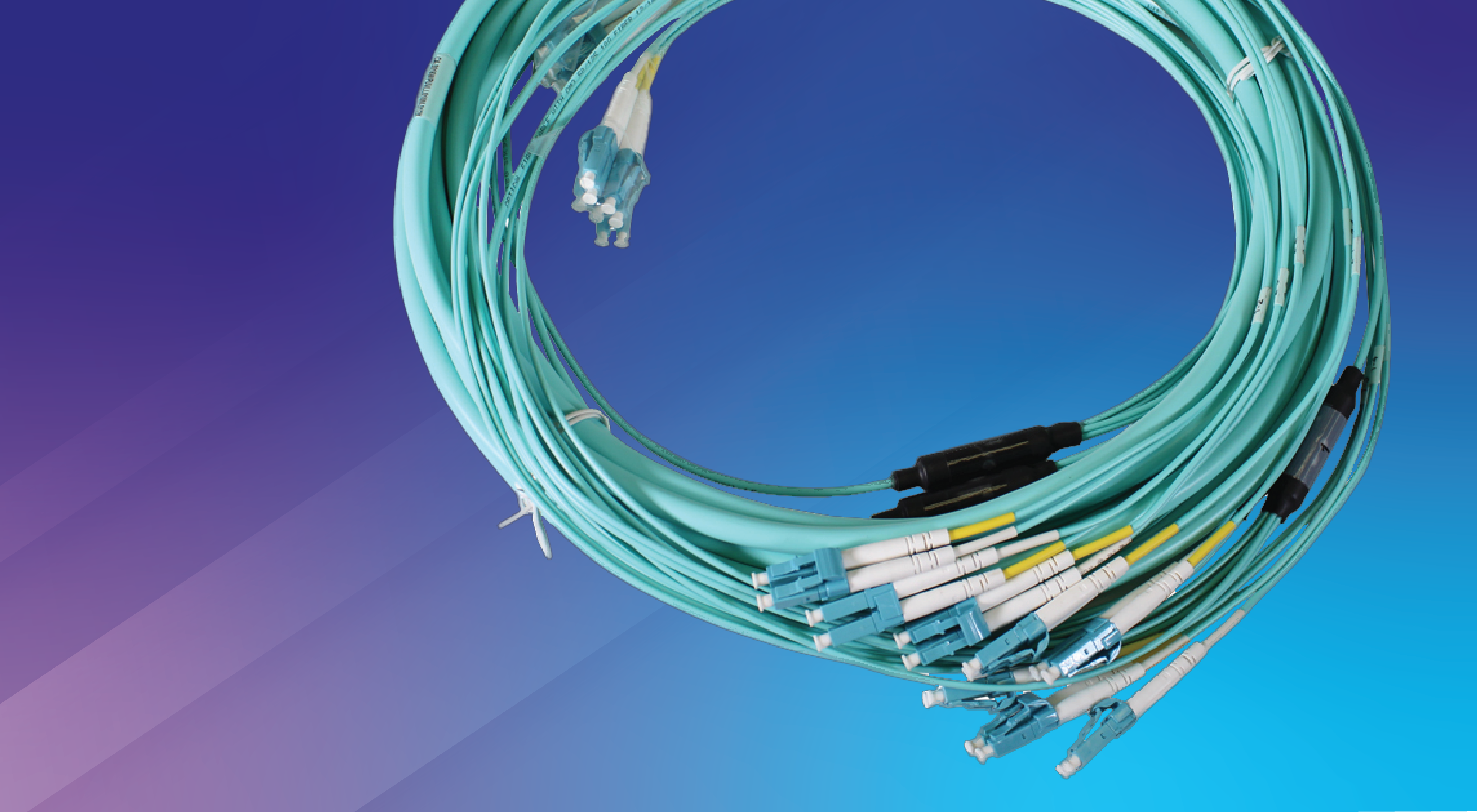 Cable Assembly Types and Polarity
